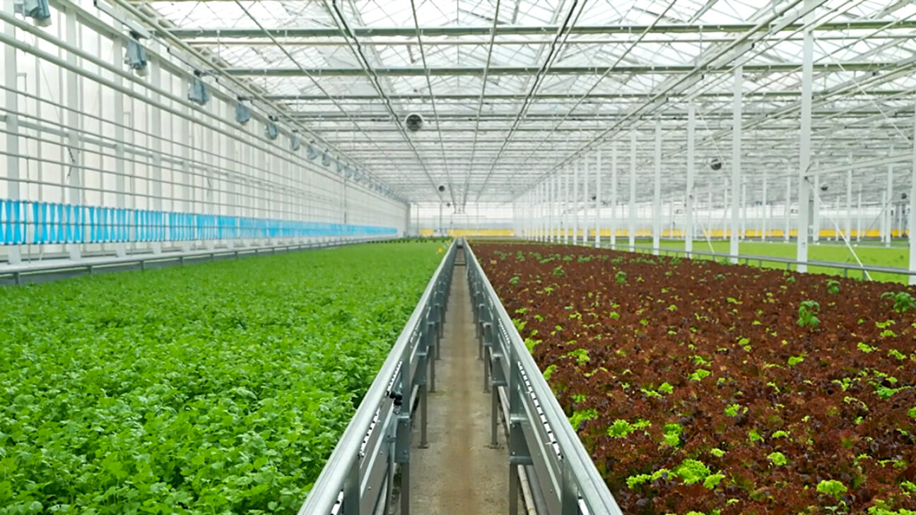 Eisberg Hungary Kft. is now part of Green Factory - Eisberg