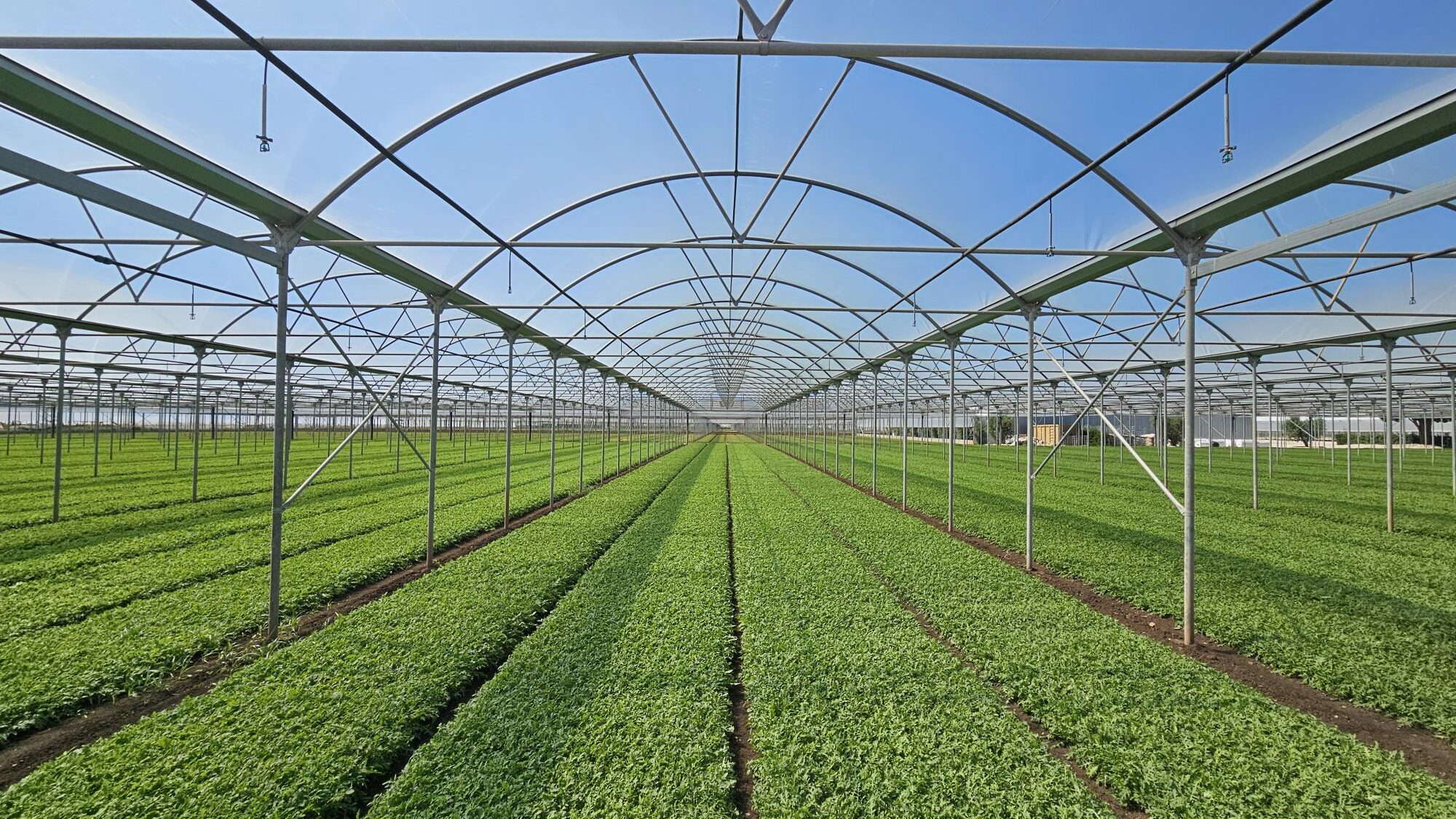 Green Factory is expanding its operations in Central and Eastern Europe ...